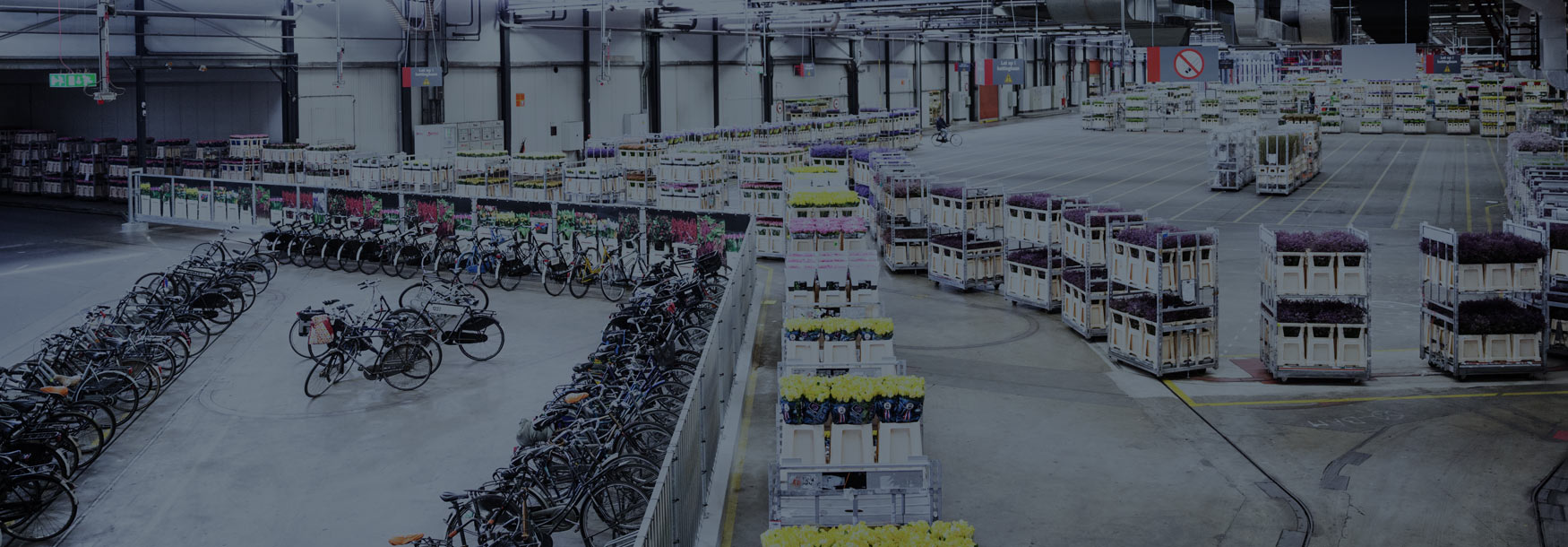 Cisco - Global Home Page