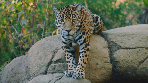 A Cisco IT Security Makeover: Season 4 - Cisco