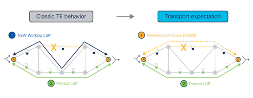 Products What Is Private Line Emulation Cisco