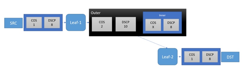QoS in Cisco ACI within a POD - Cisco