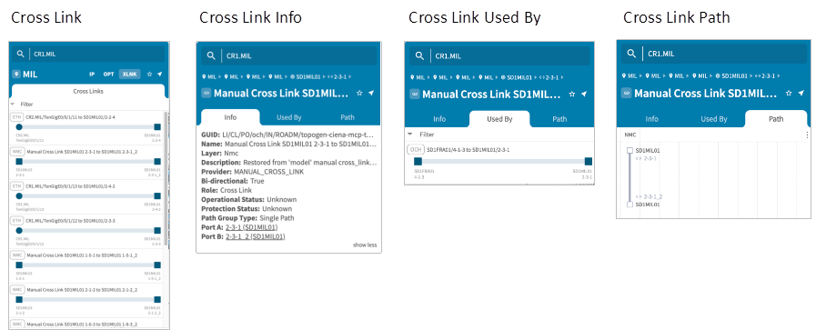 Cisco Crosswork Hierarchical Controller 10.0 Network Visualization Guide - Cisco