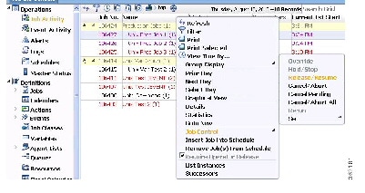 Cisco Tidal Enterprise Scheduler 6.2 Tutorial Guide for Unix - Managing ...
