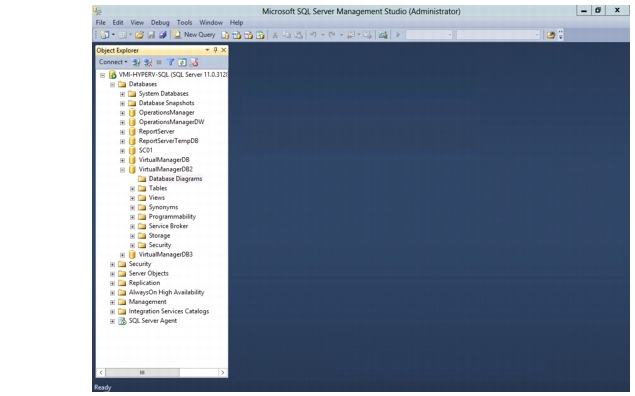 Microsoft Hyper-V and Nexus 1000V Switch for Microsoft Hyper-V within a ...