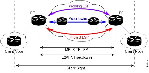 Configuring MPLS Transport Profile - Cisco