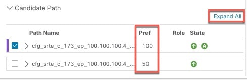 Cisco Crosswork Optimization Engine 5.0 User Guide - SR Circuit Style ...