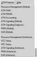 ATM Features for the LightStream Switch - Cisco