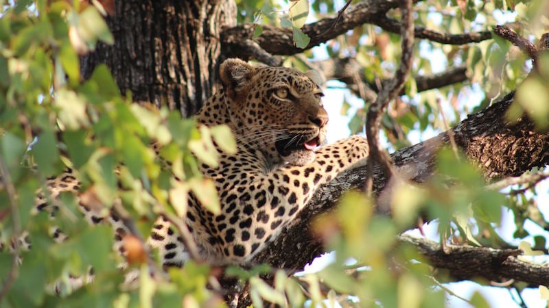 A Cisco Employee Took This Photo - Cisco