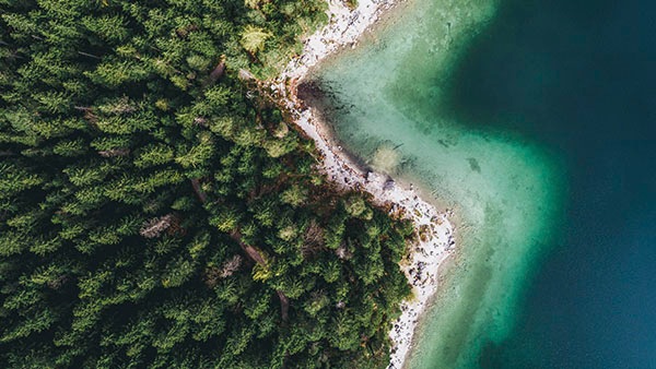 IT Sustainability - Technology and Environmental Impact - Cisco