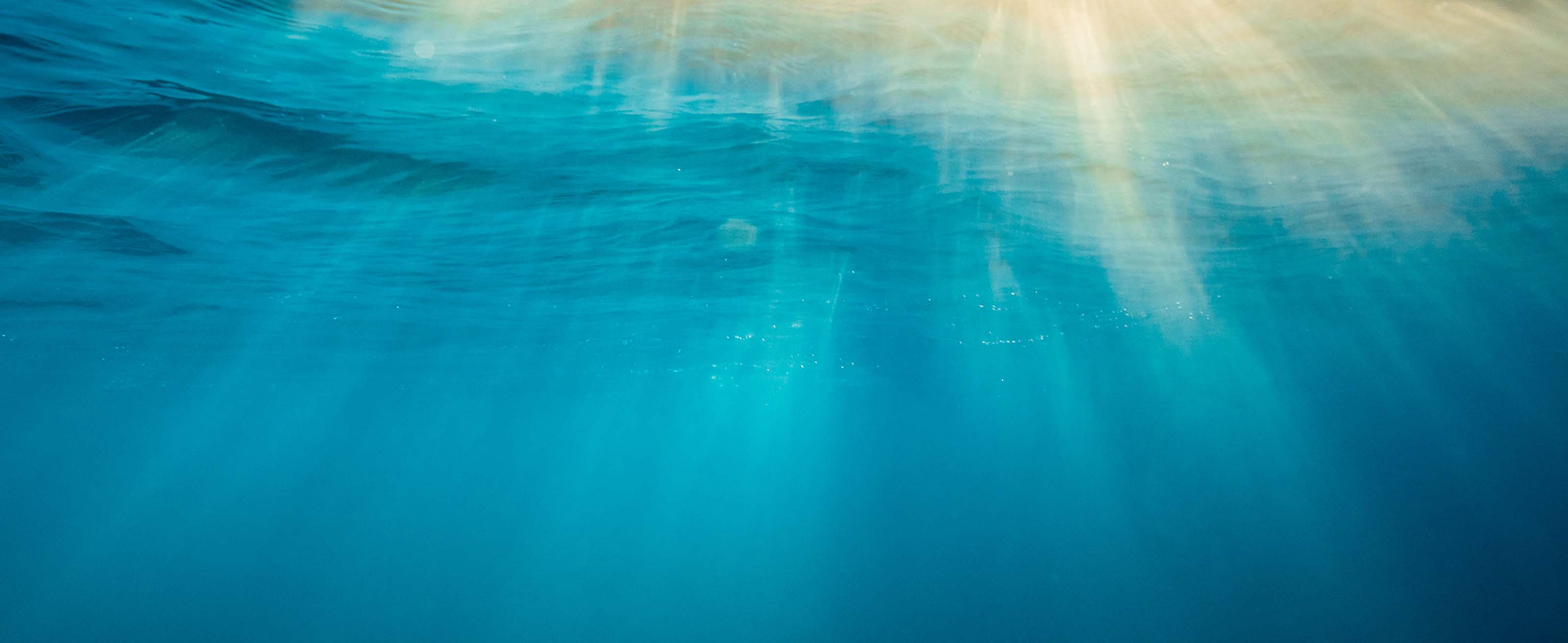 Cisco Distribution Champions Club 2025 - Cisco