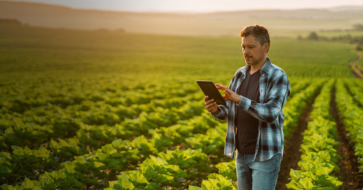 Broadband Equity, Access, and Deployment (BEAD) Program - Cisco