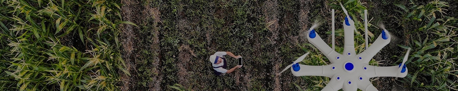 Network Management and Automation to Simplify Rural Service Provider ...