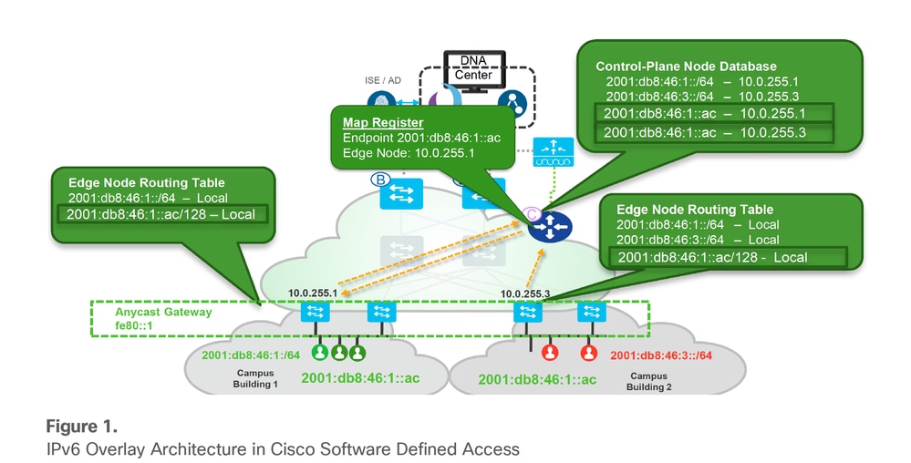在软件定义访问中实施IPv6 - Cisco