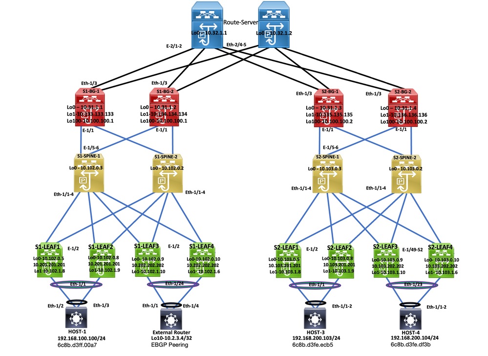 在多站点设置中排除EVPN/VxLAN故障 - Cisco