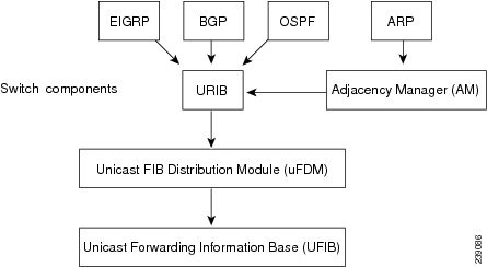 Cisco Nexus 3000 Series NX-OS Unicast Routing Configuration Guide, 10.1 ...