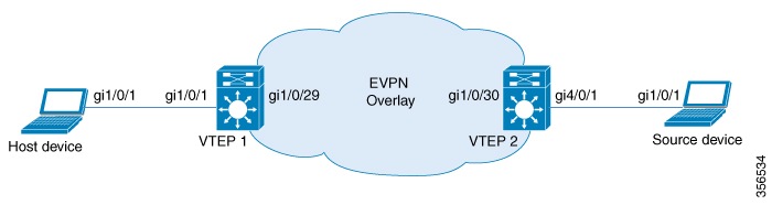 BGP EVPN VXLAN Configuration Guide, Cisco IOS XE Amsterdam 17.2.x ...