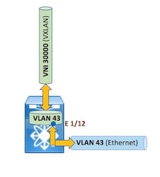 Cisco Programmable Fabric with VXLAN BGP EVPN Configuration Guide ...