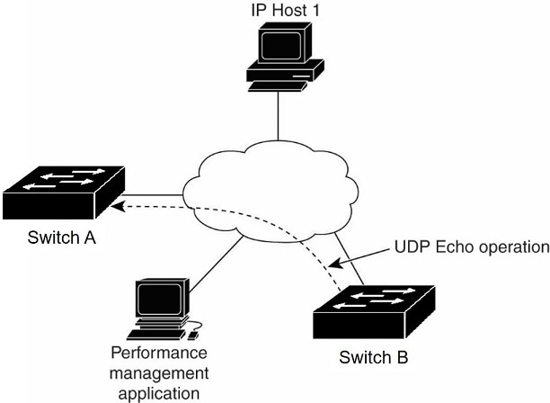 Cisco Nexus 7000 Series Nx Os Ip Slas Configuration Guide Configuring Ip Slas Udp Echo