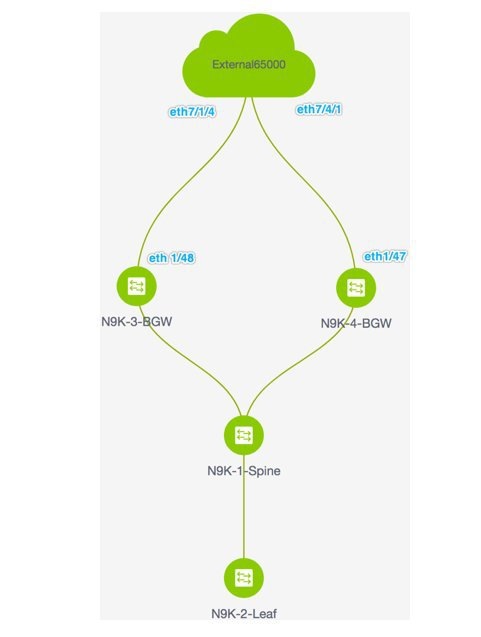 Cisco DCNM LAN Fabric Configuration Guide, Release 11.4(1) - Border ...