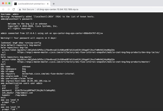 Cloud Native BNG Control Plane Configuration Guide, Release 2023.04 ...