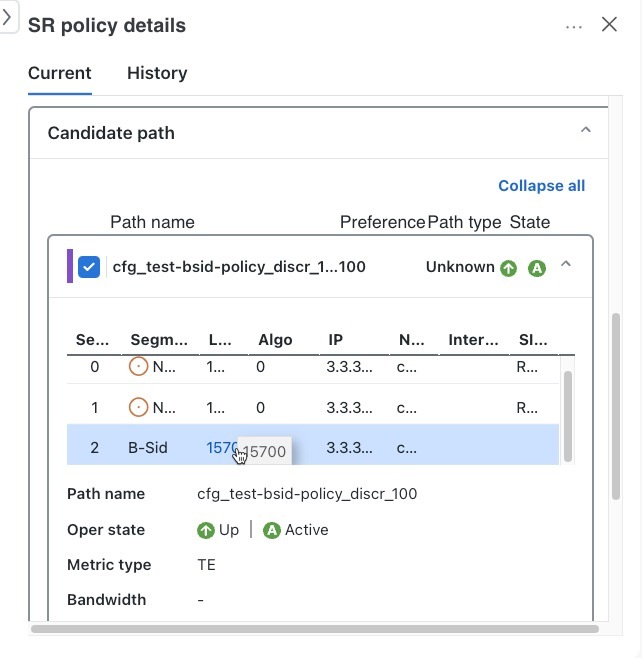 Cisco Crosswork Optimization Engine 7.0 User Guide - SR-MPLS and SRv6 ...