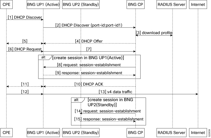 Cloud Native BNG User Plane Configuration Guide for Cisco ASR 9000 ...