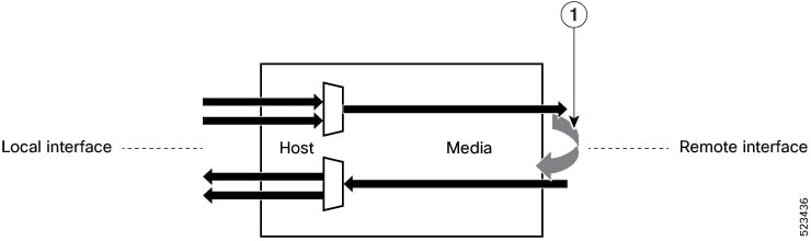 Interface and Hardware Component Configuration Guide for Cisco 8000 ...