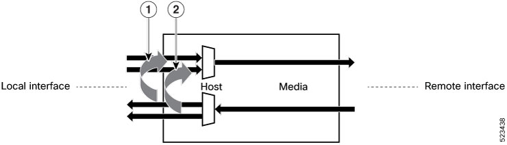 Interface and Hardware Component Configuration Guide for Cisco 8000 ...