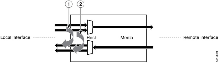 Interface and Hardware Component Configuration Guide for Cisco 8000 ...