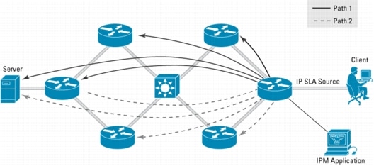 CiscoWorks IPM 운영의 정의에는 프로토콜 종류, 측정 간격, 패킷 크기 및 IP Precedence 값이 포함됩니다.