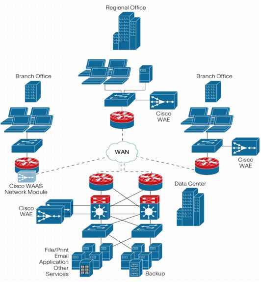 Cisco WAAS Software 라이센스 옵션